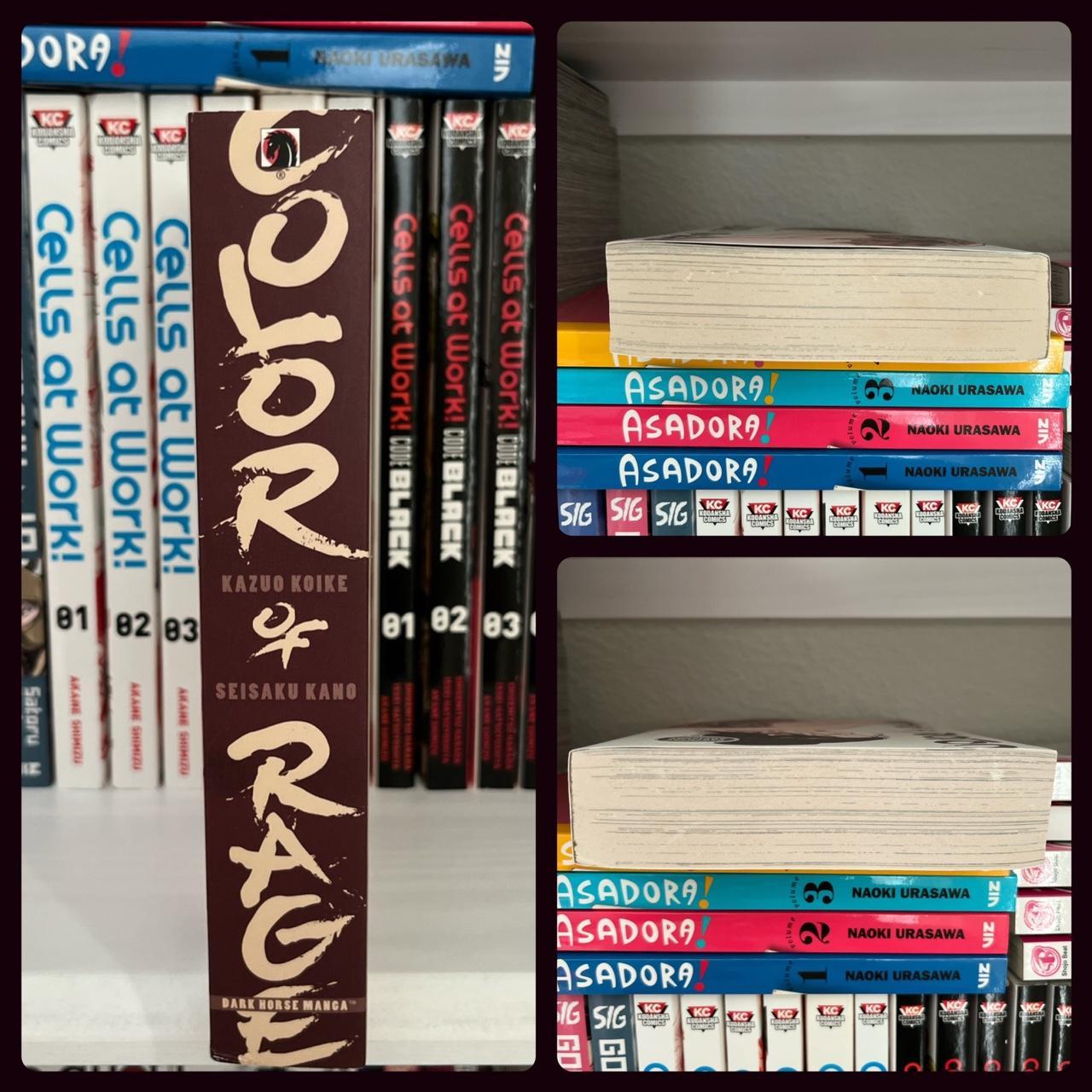 Color of Rage Manga Near mint condition. No... - Depop