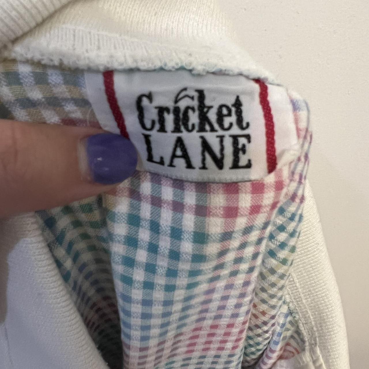 Vintage Cricket Lane Pastel Checkered Polo... | Depop