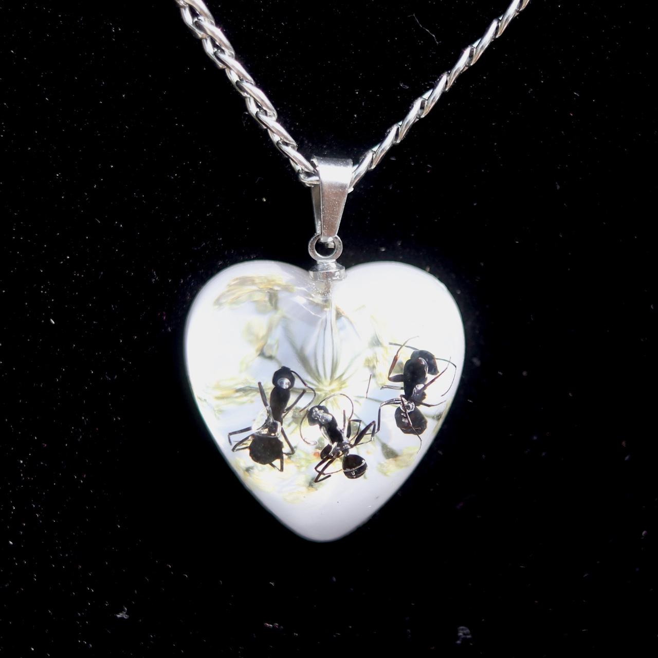 Heart Shaped Ant Ants and Ants Chain! Chain is 100%... - Depop