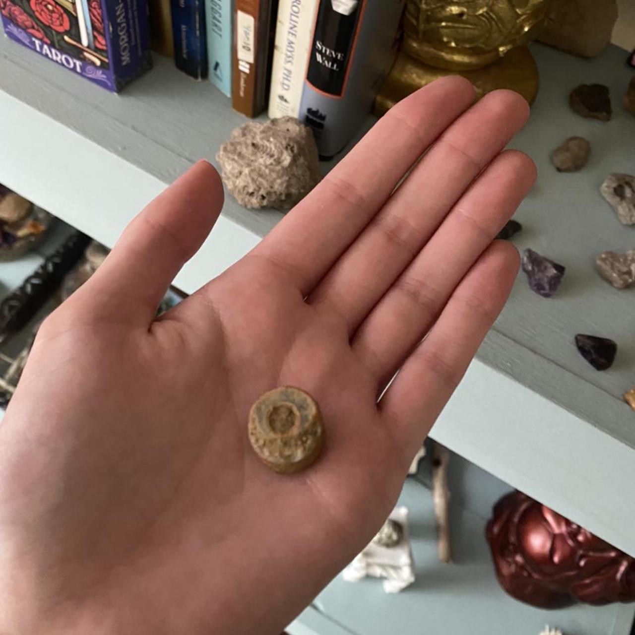 mini crinoid fossil #fossils #fossil #artifact... - Depop