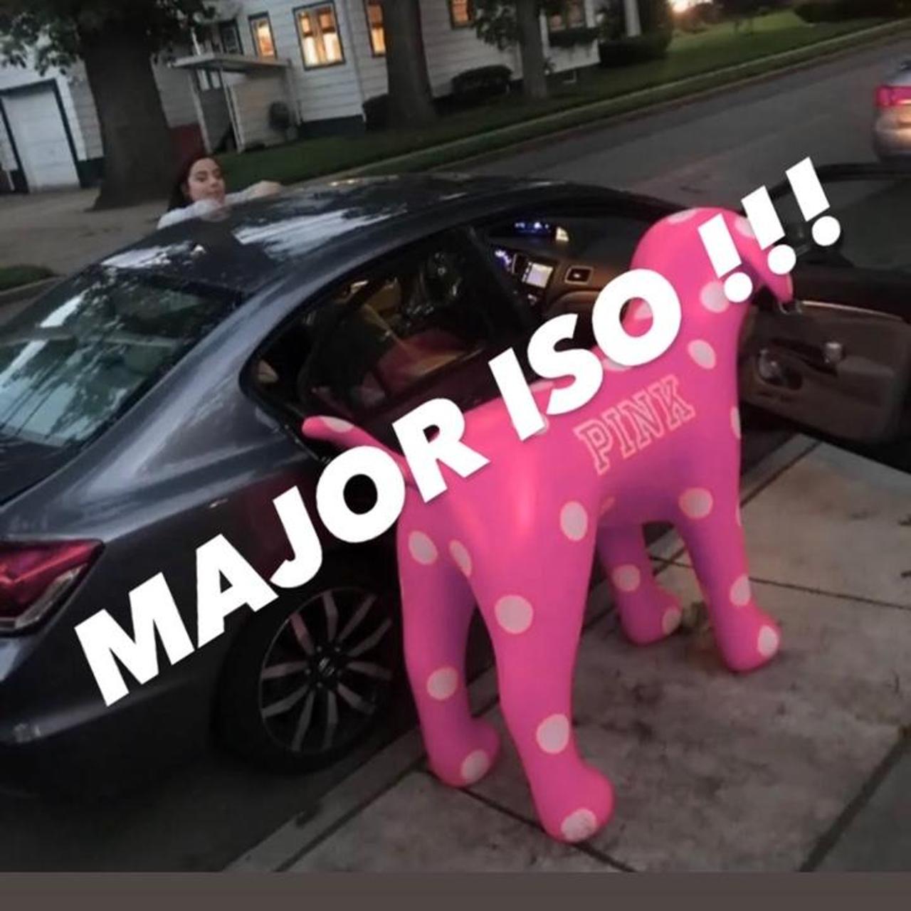 MAJOR ISOOO Display Victoria Secret dogs !! I am... - Depop