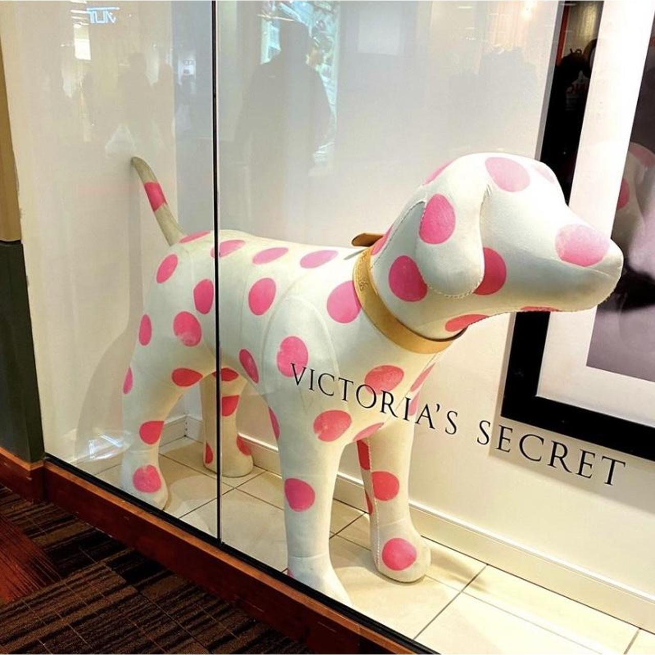 MAJOR ISOOO Display Victoria Secret dogs !! I am... - Depop