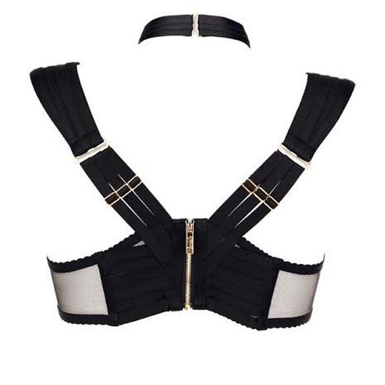 Bordelle Kinbaku Collar bra. Size S, NWT. Cups are... - Depop