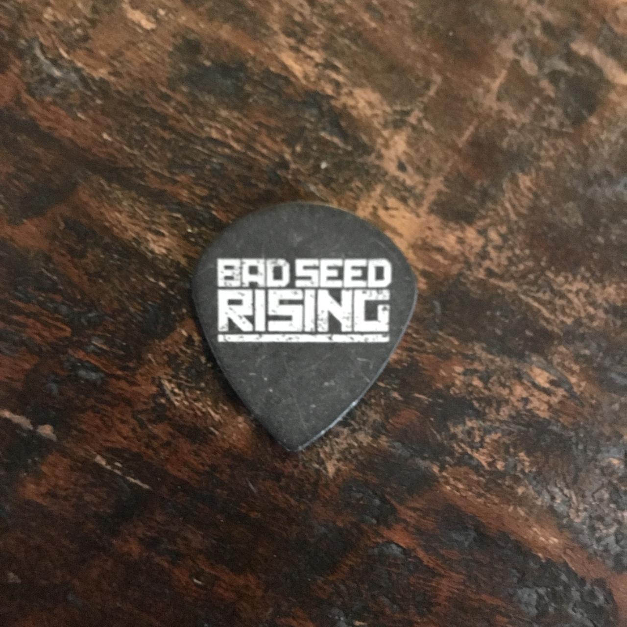 Bad seed rising guitar pick - Depop