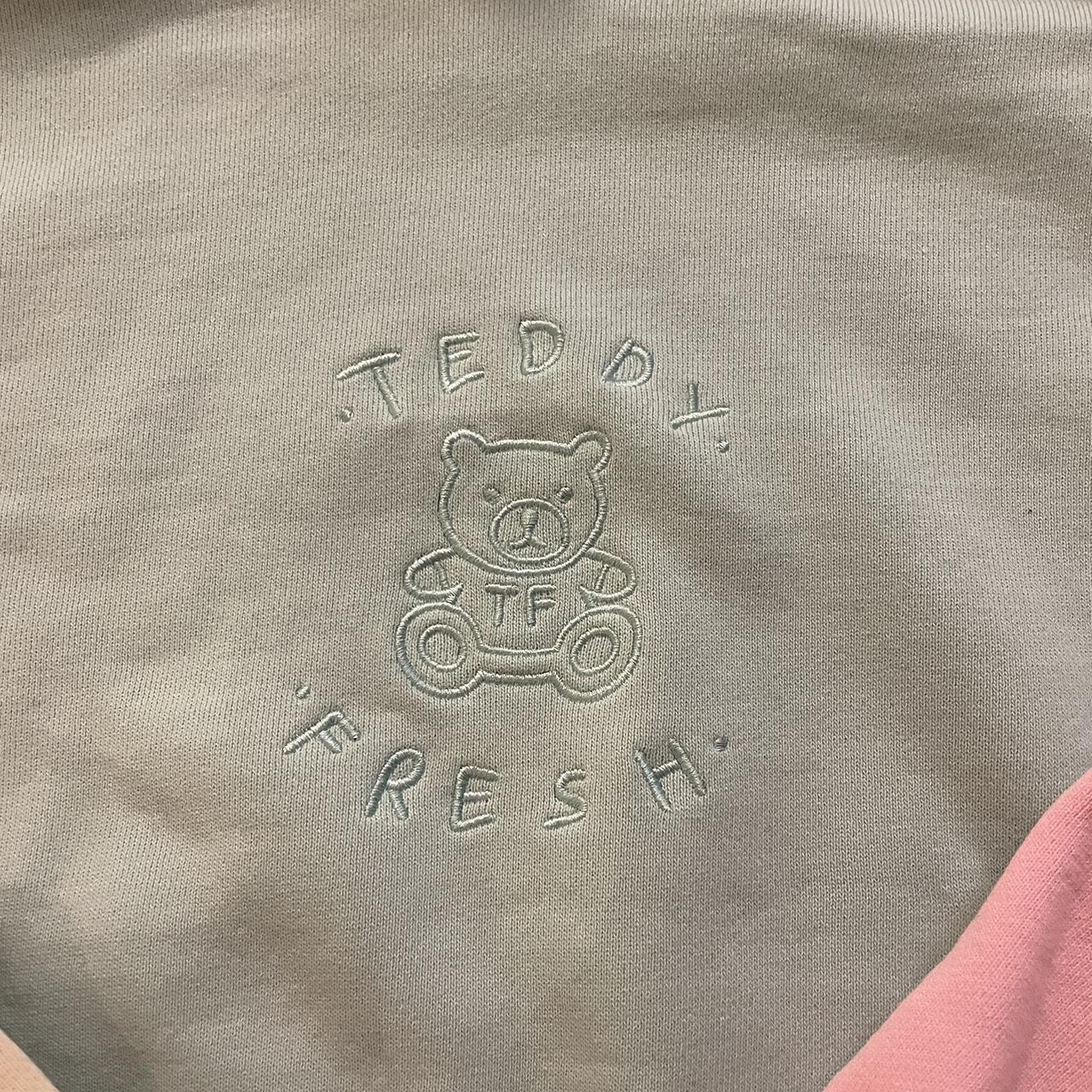 teddy fresh trans pride flag hoodie :) - Depop