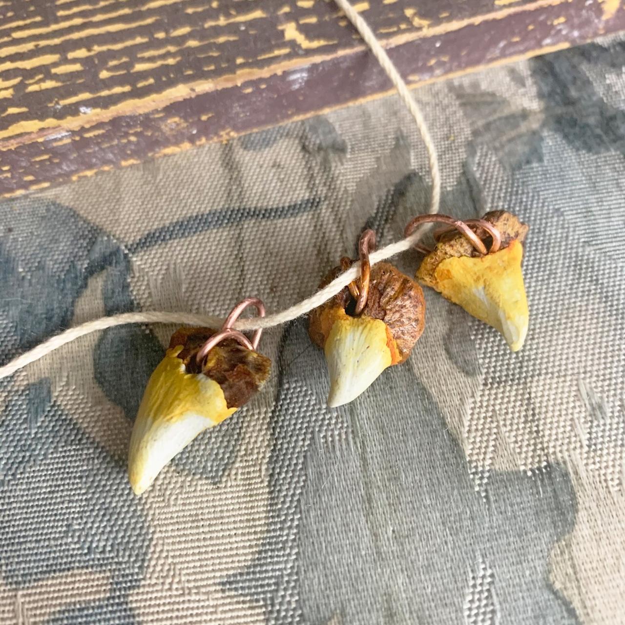 Creepy faux animal teeth wrapped in copper and... - Depop