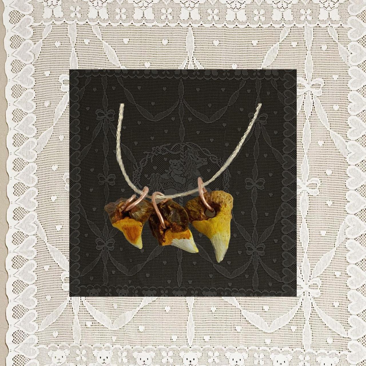 Creepy faux animal teeth wrapped in copper and... - Depop