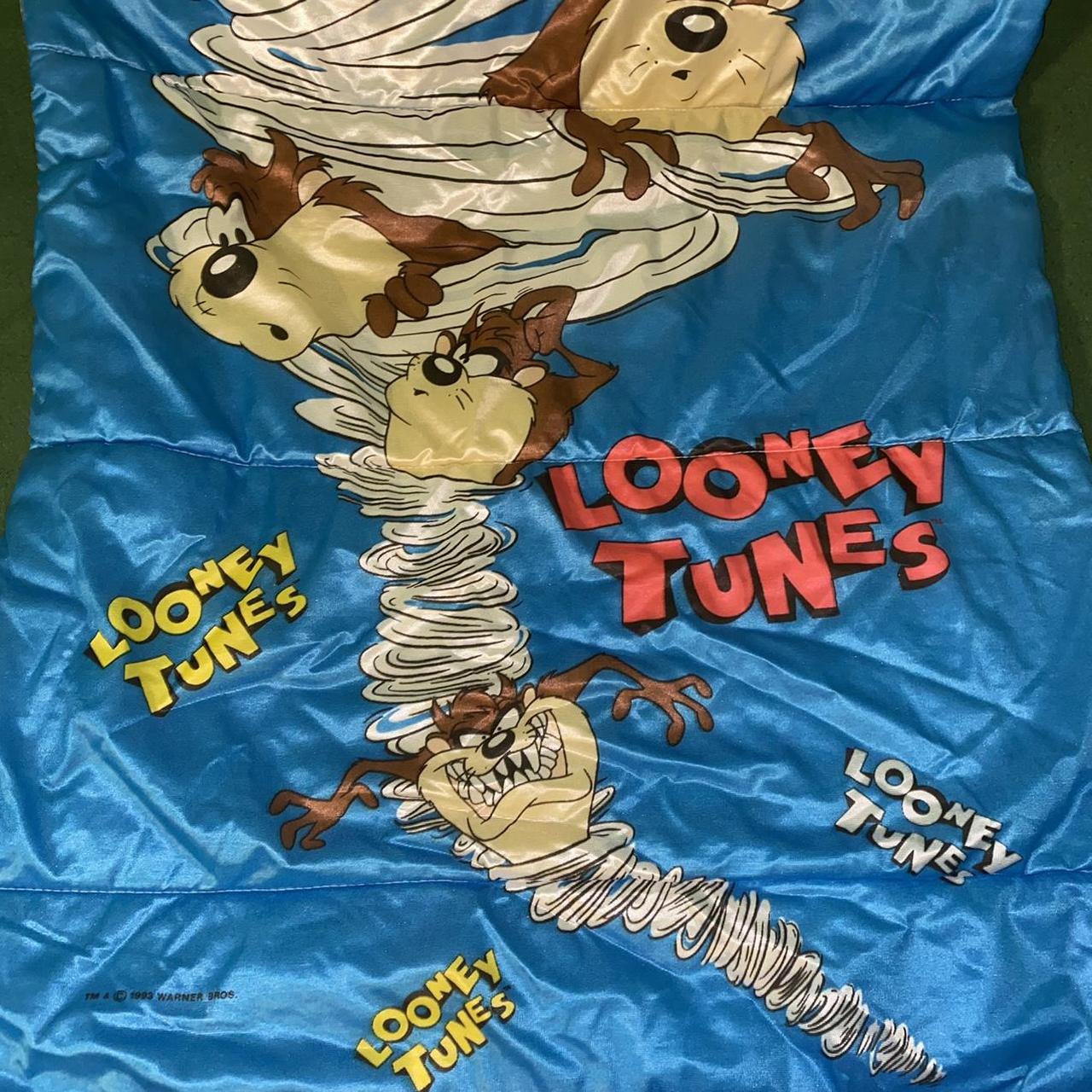 Vintage 1993 Taz Looney Tunes sleeping bag. Sleeping... - Depop