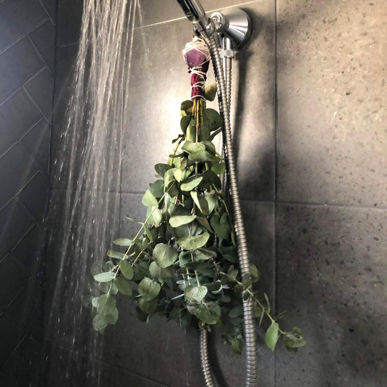 Eucalyptus shower bundles. These beautiful additions... - Depop