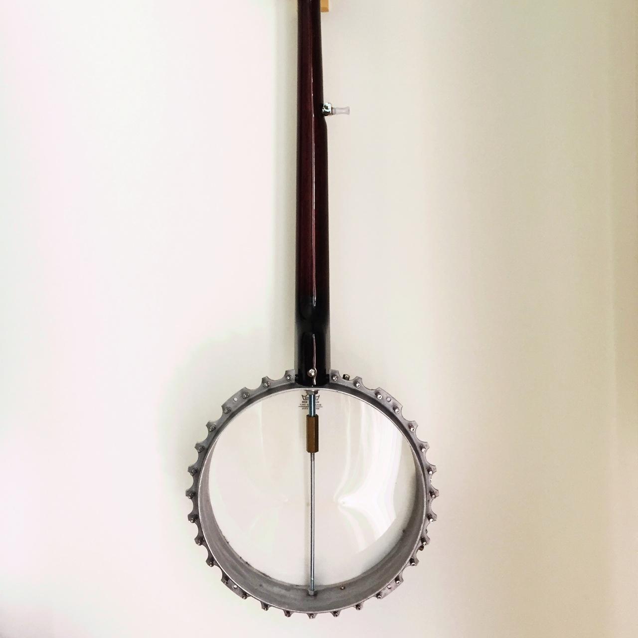 Johnson JB110 Banjo & soft case. I bought this banjo... - Depop