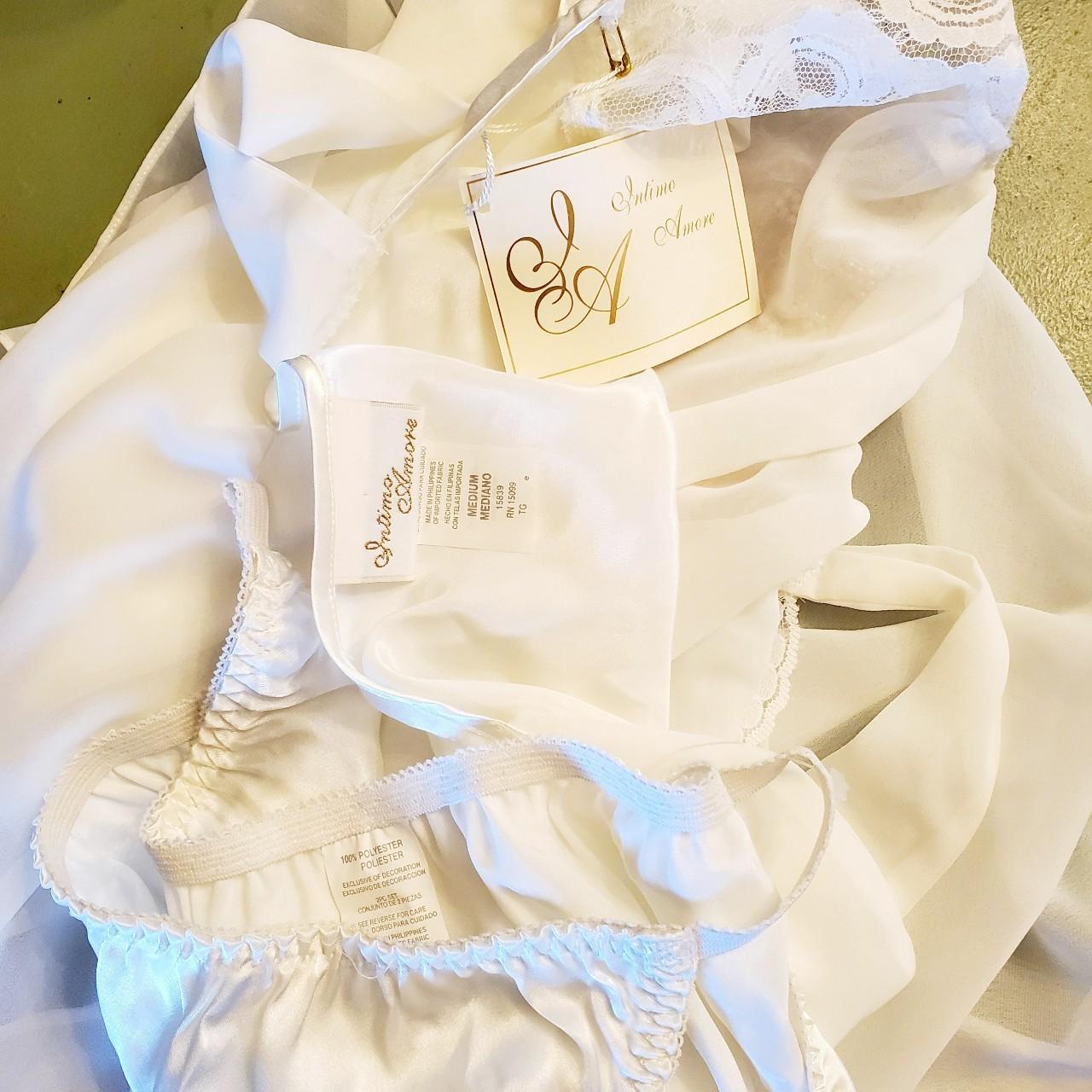 Intimo Amore Vintage Lingerie Semi-sheer Chiffon... - Depop