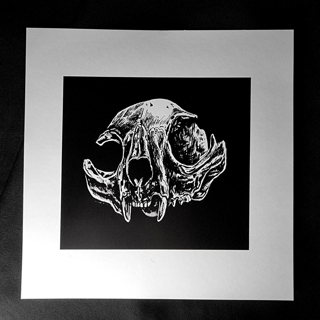Cat skull print 8 x 8 inch By artist STONEGEIST... - Depop