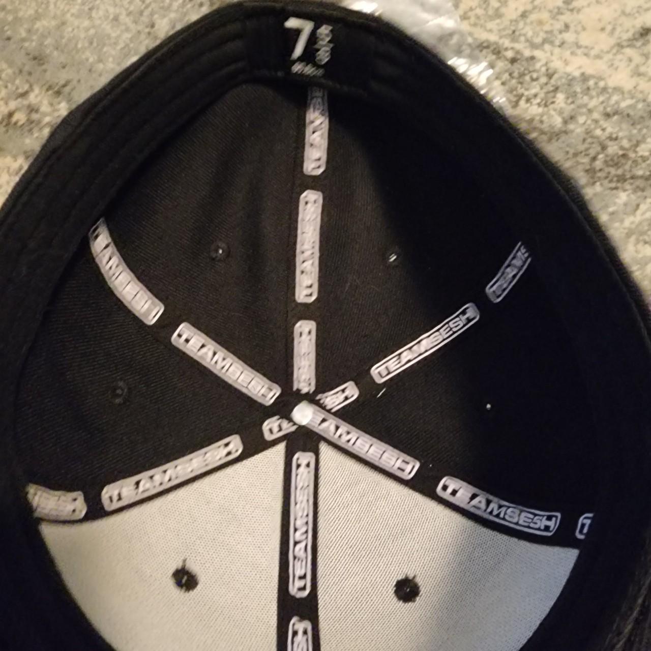 Team Sesh - Bones ; Deadboy Fitted Hat *Never... - Depop