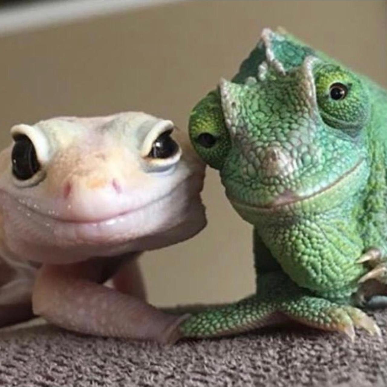 15% off most items on my page. need to get rid of it... - Depop