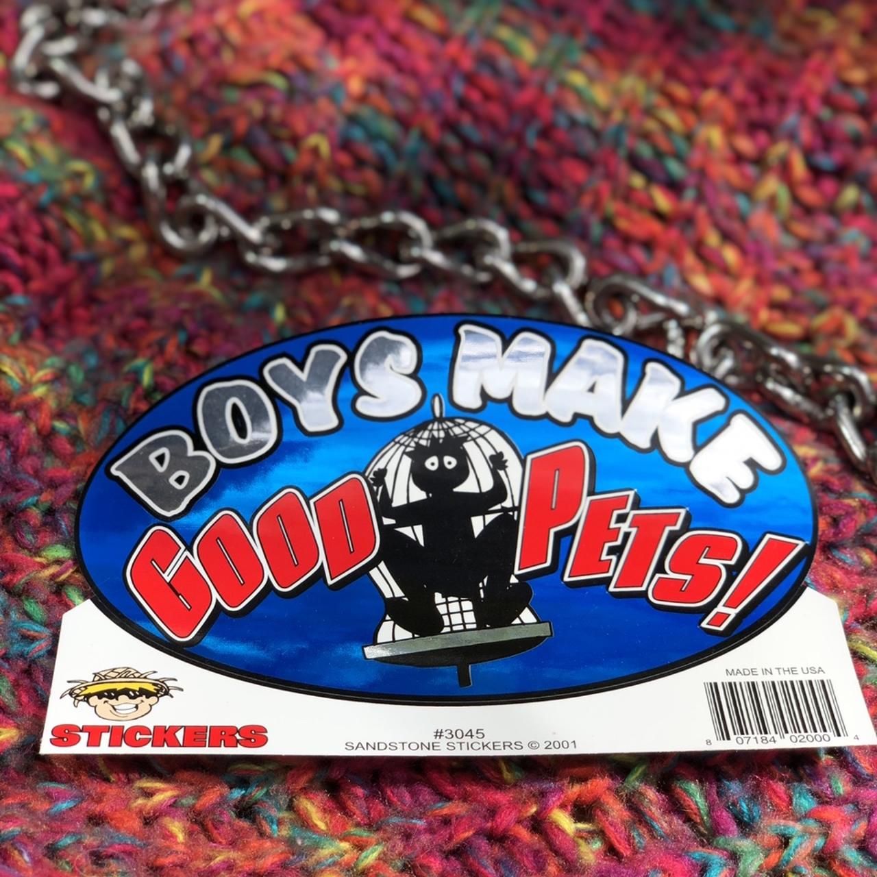 🌪 Boys Make Good Pets Y2K Sticker Deadstock 2001... - Depop