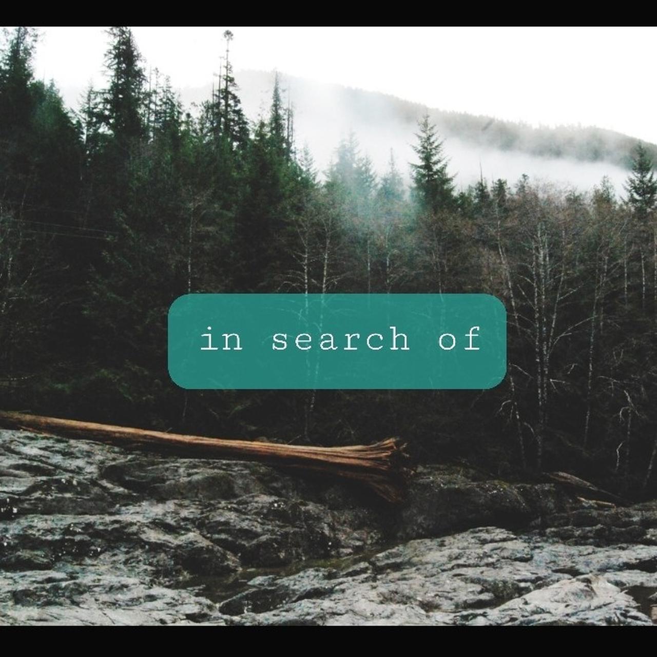 IN SEARCH OF! mostly looking to trade unless you... - Depop