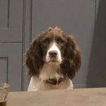 isabel mills's Shop - Depop