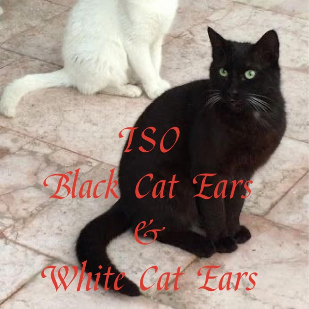 ISO white cat ears, Black Cat Ears! #petplay - Depop