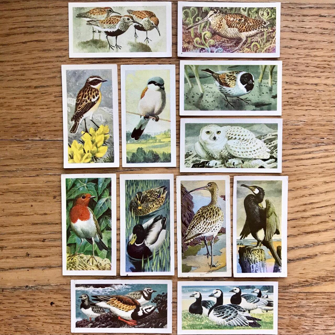Tea cards: Bundle set of 12 British winter wild... - Depop