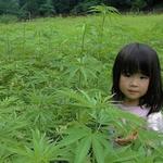 angel irl 𓆩 ︎𓆪 's Shop - Depop