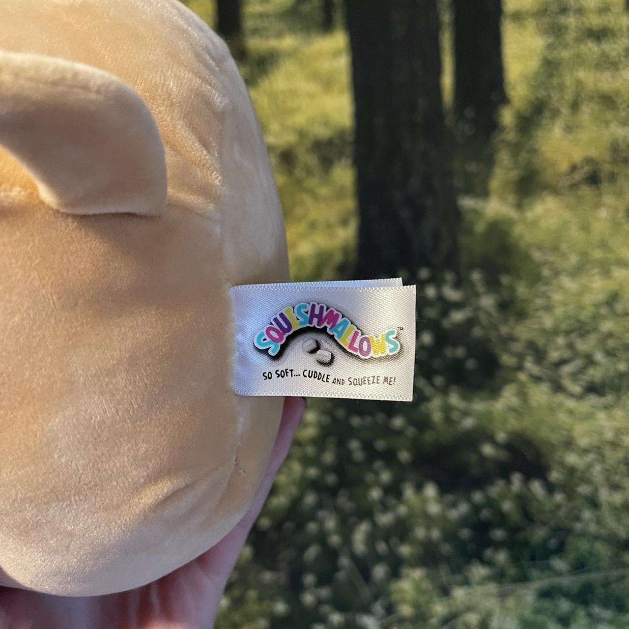 8 inch prince the pug squishmallow 🤍 (didn’t come... - Depop