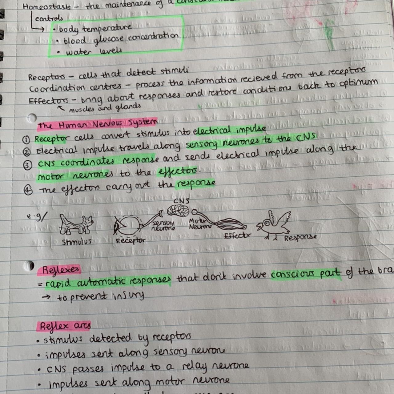GCSE AQA biology notes For AQA exams grades 9-1... - Depop