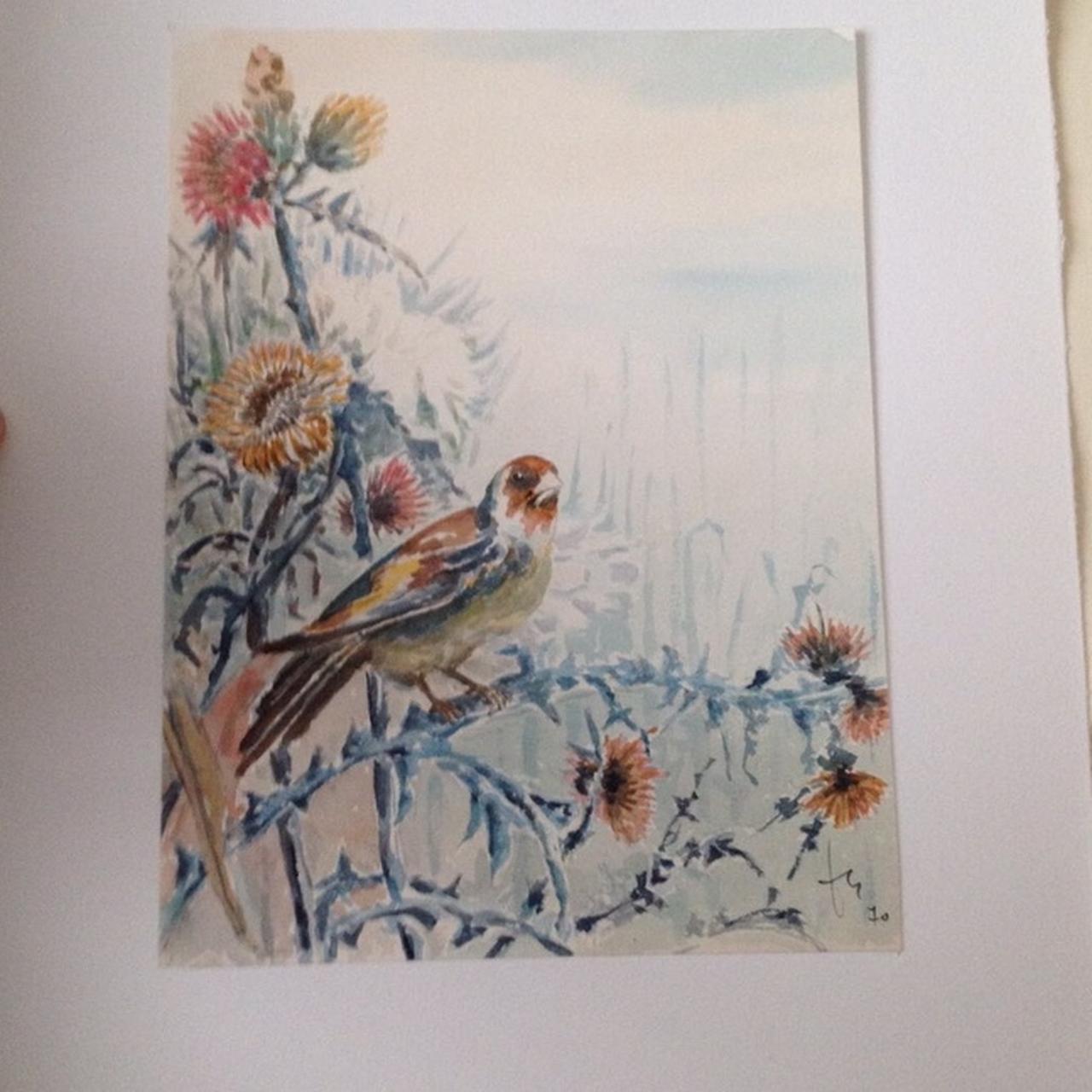 Vendo Acquerelli del Pittore Fracassi Giuseppe ne... - Depop