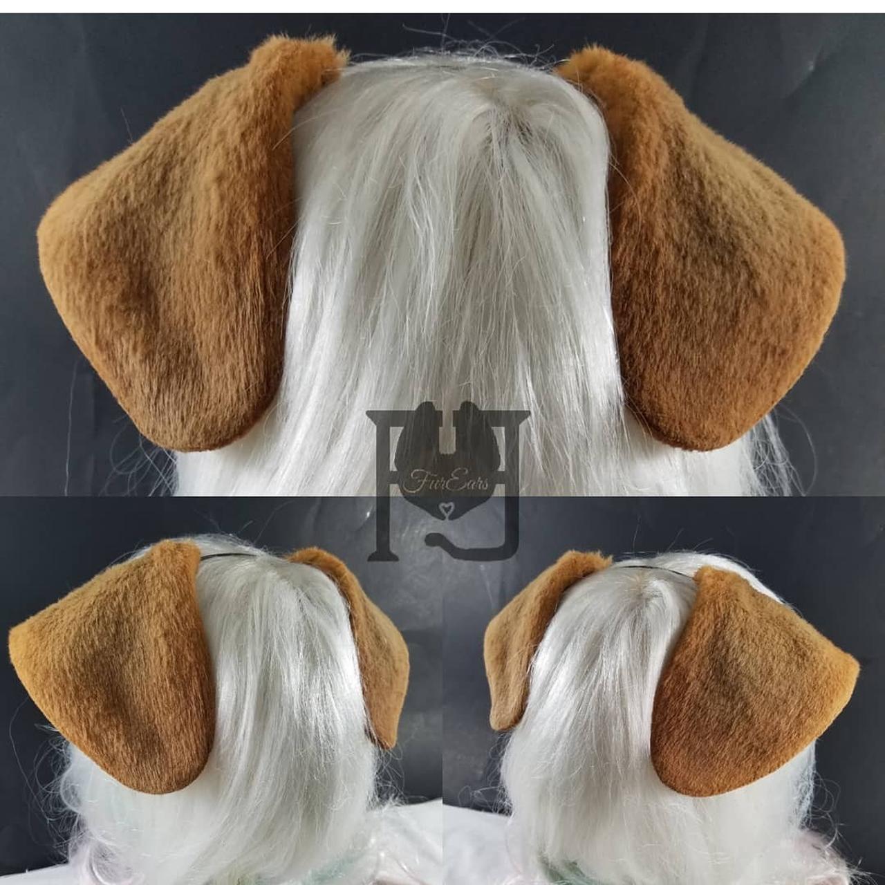 ISO Looking for Beagle Puppy Ears from furears... - Depop