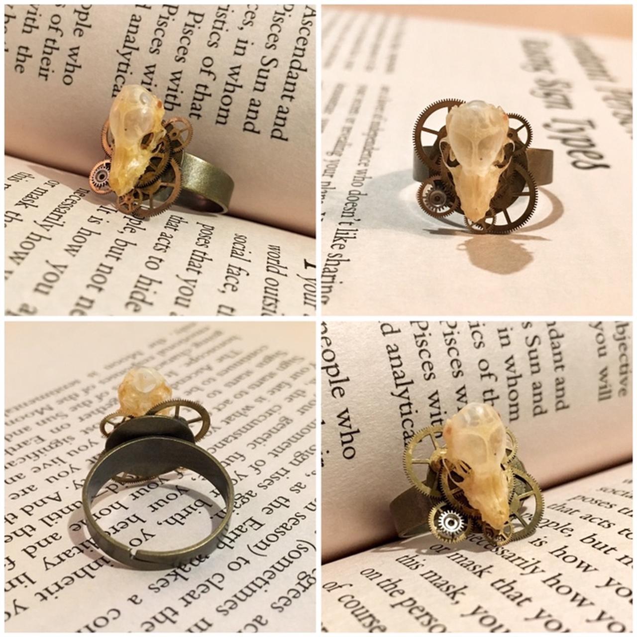 Murder Jewelry - Steampunk Javan Pipistrelle bat... - Depop