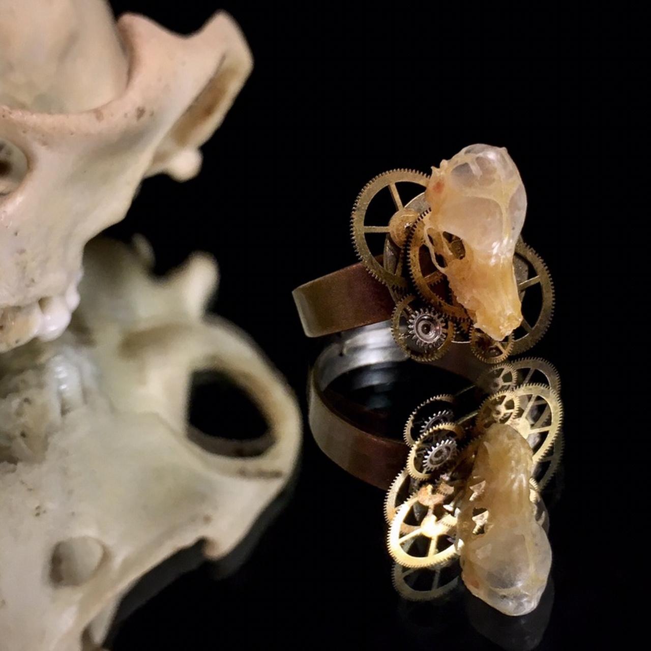 Murder Jewelry - Steampunk Javan Pipistrelle bat... - Depop