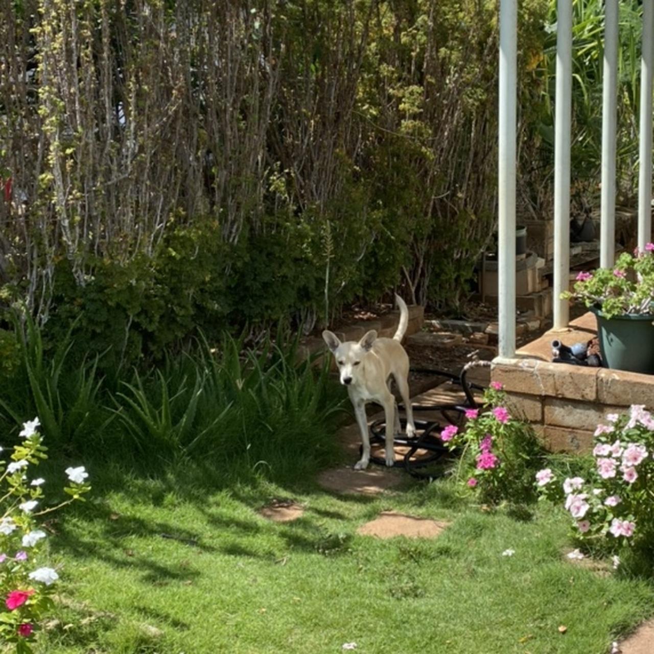 hi prices are firm unless otherwise stated. dms... - Depop