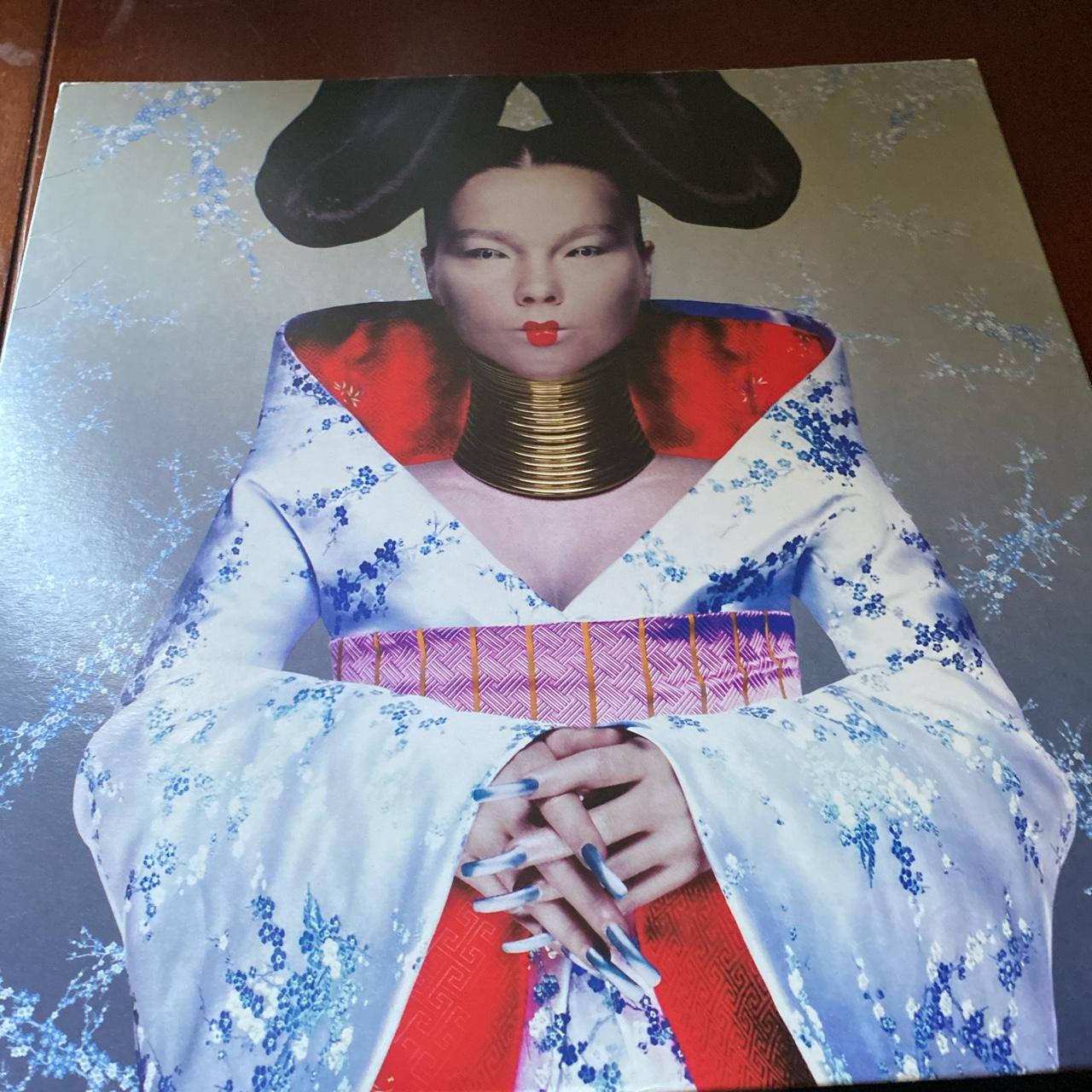 Björk - Homogenic Vinyl - Depop