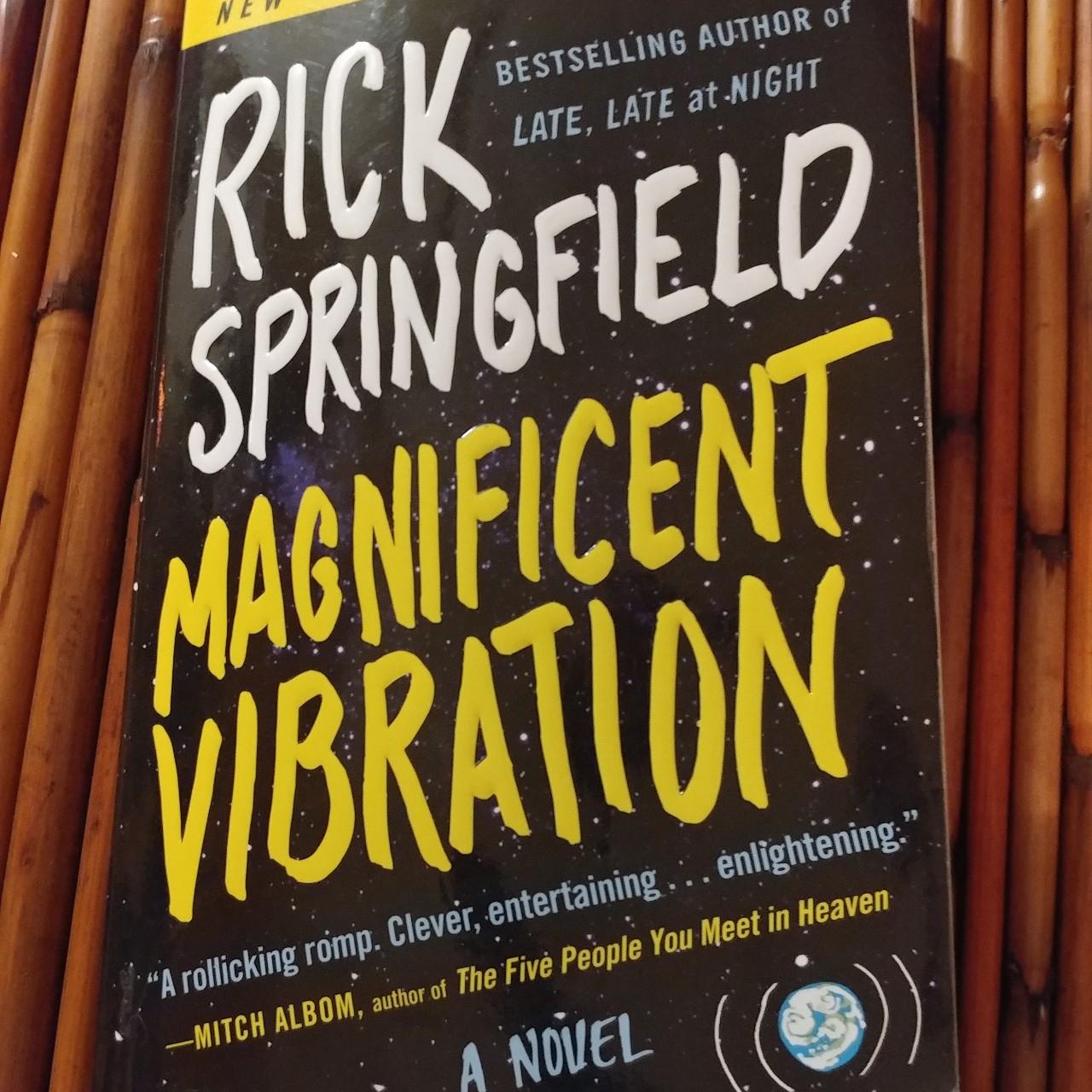 US SHIPPING ONLY!! Rick Springfield Novel -... - Depop