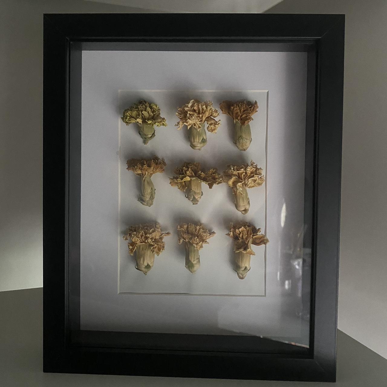 Dead Flower Frame 💀💓 made this myself, i’d like it... - Depop