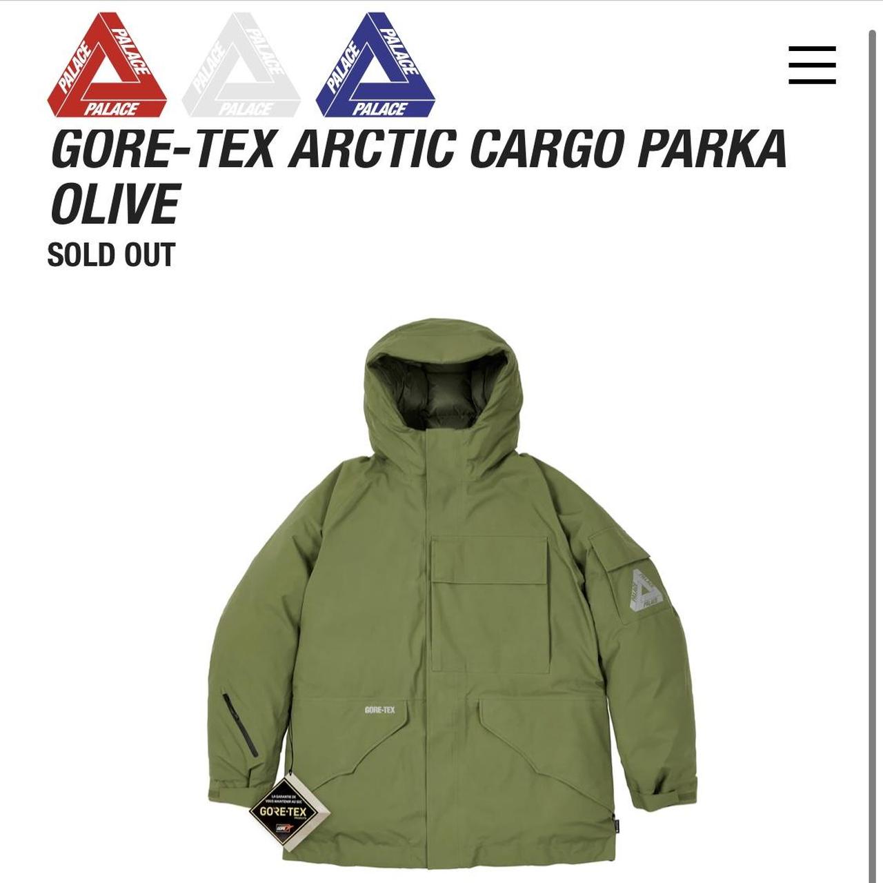 Palace Gore-Tex Arctic cargo parka FW21 BNWT 🏷️ Size... - Depop