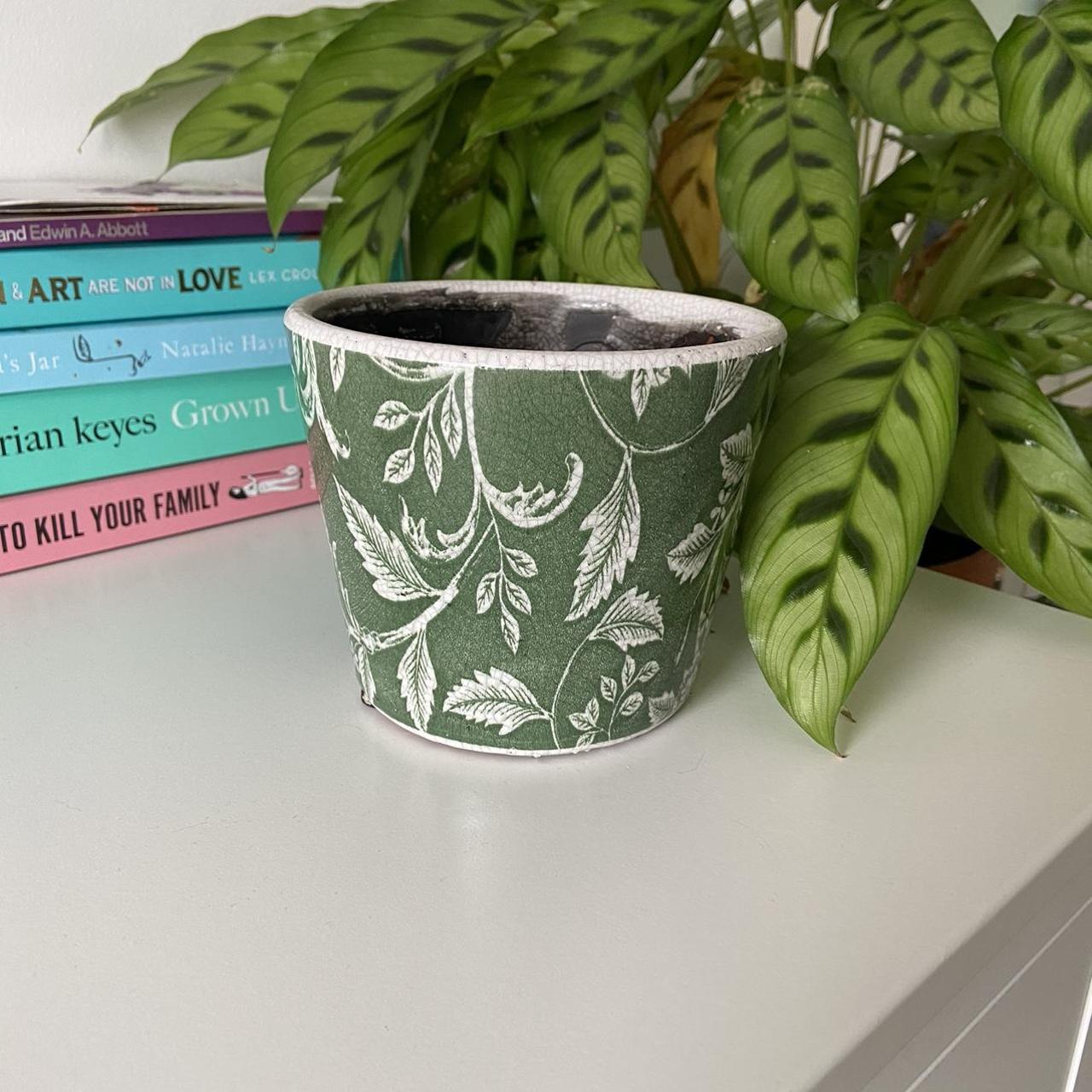 Green and white leafy plant pot. Leaf print... - Depop