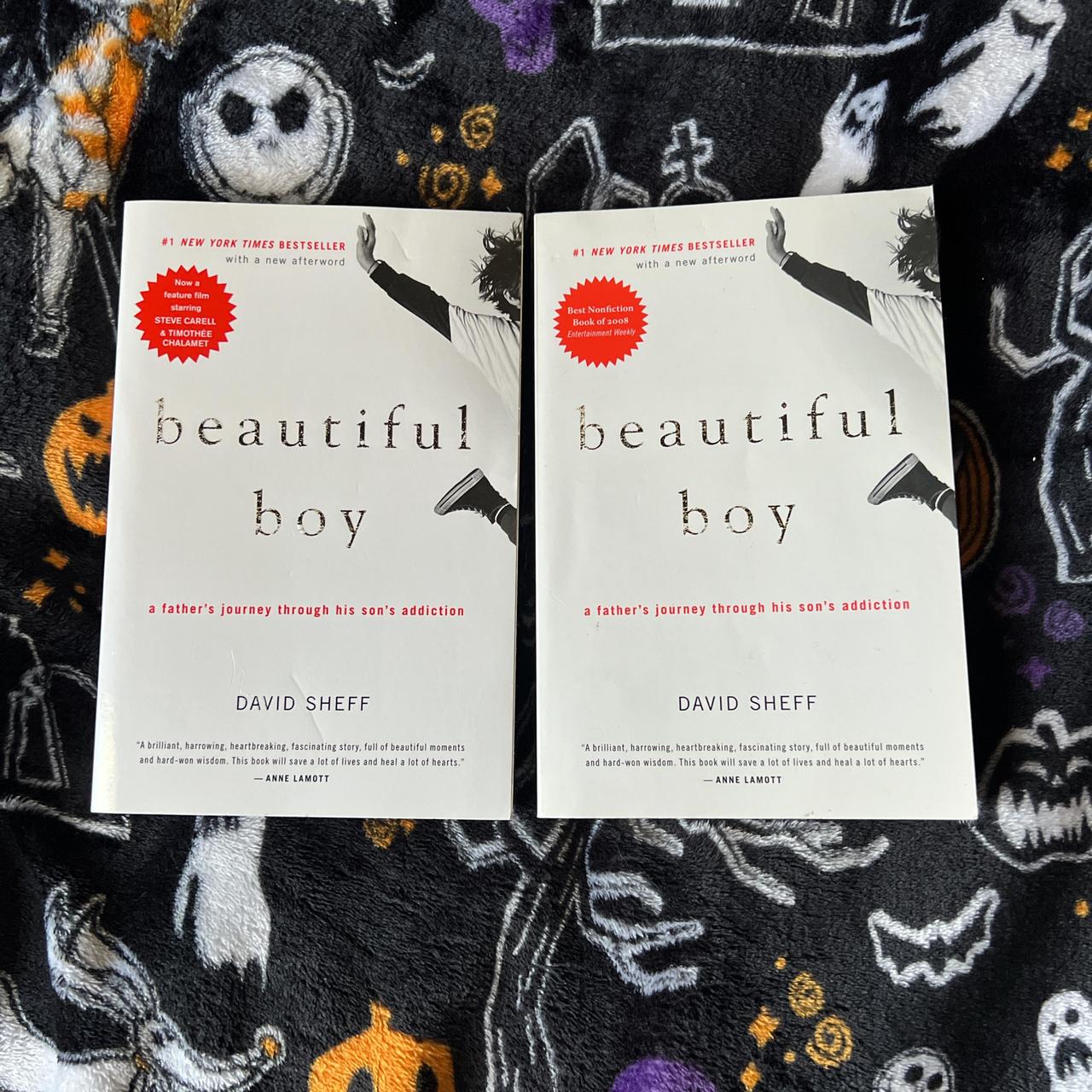 beautiful boy book by david sheff (movie stars... - Depop