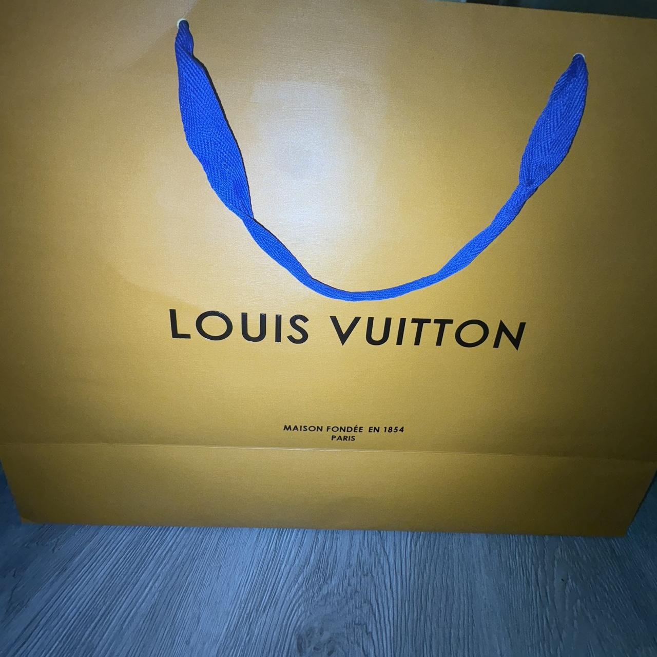 Louis Vuitton Loop Purse comes with bag,box and... | Depop