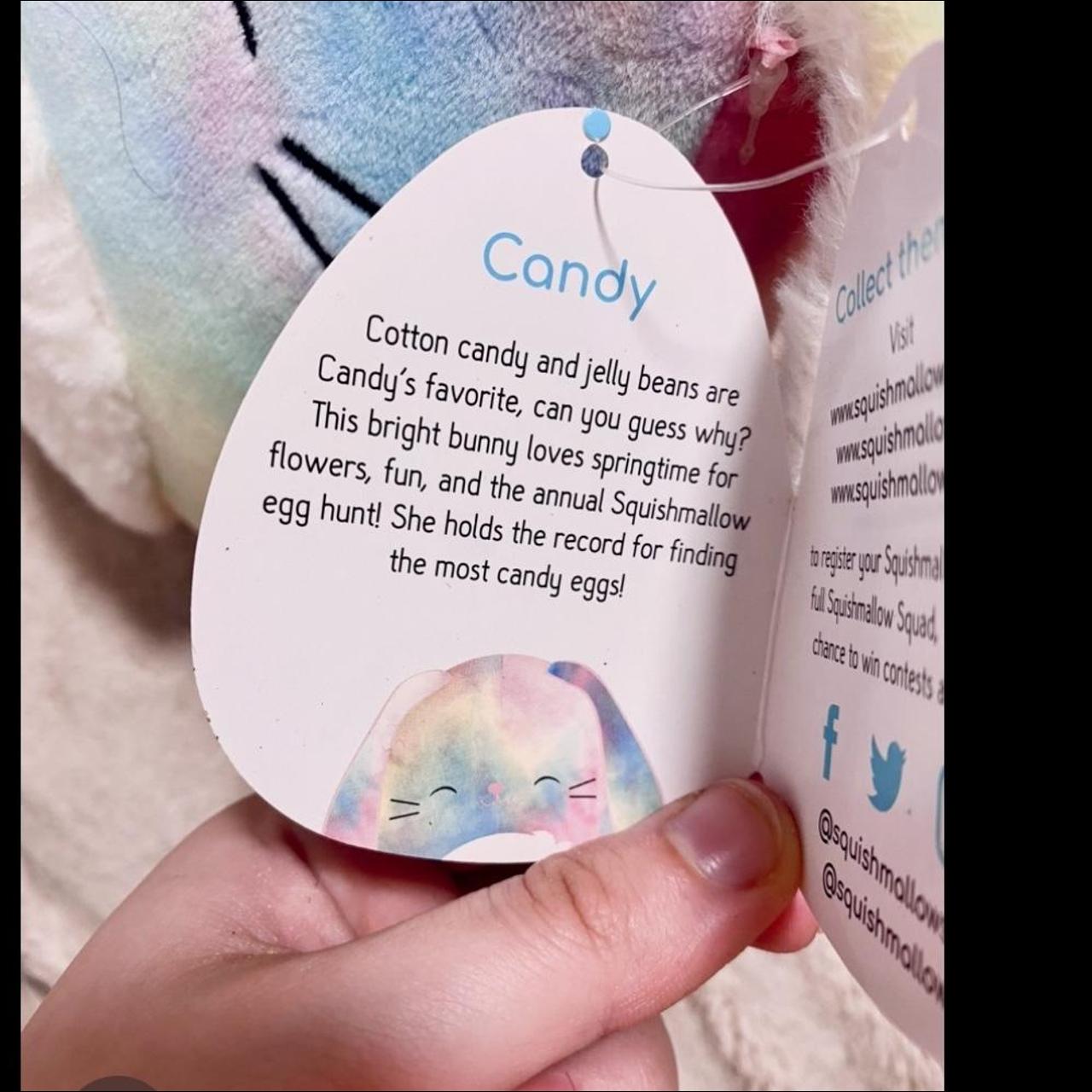 Squishmallow bunny (Candy)! According to the label,... - Depop