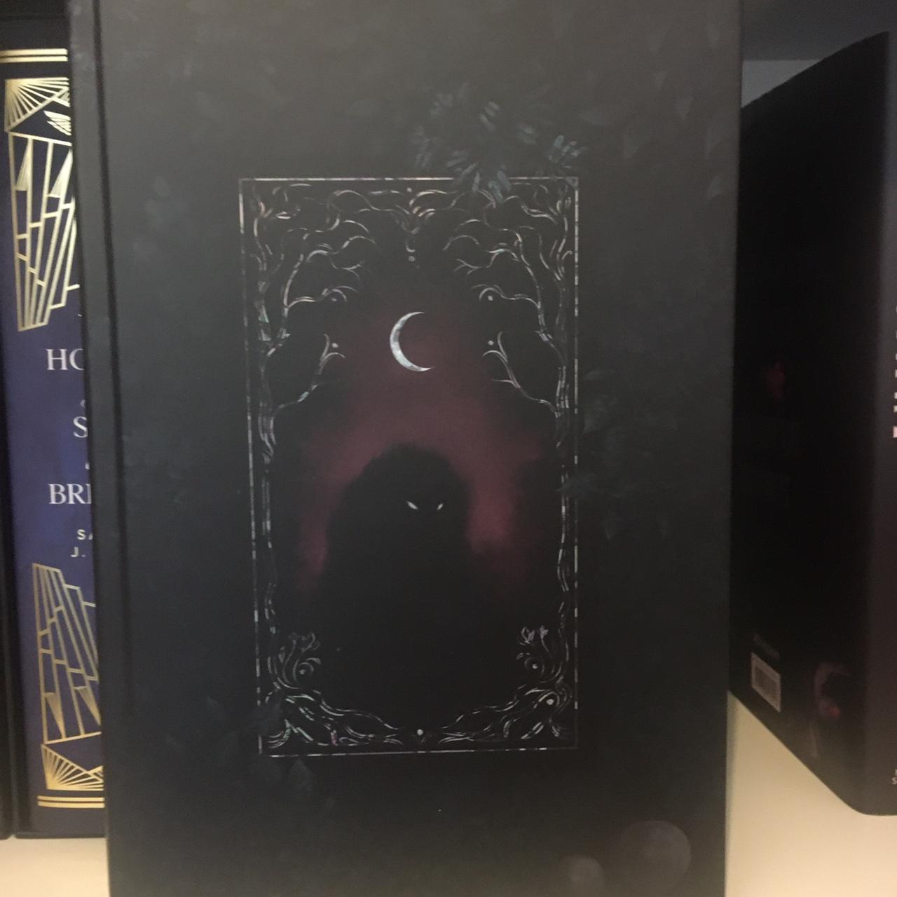 One dark window Rachel Gillig See pictures for... - Depop