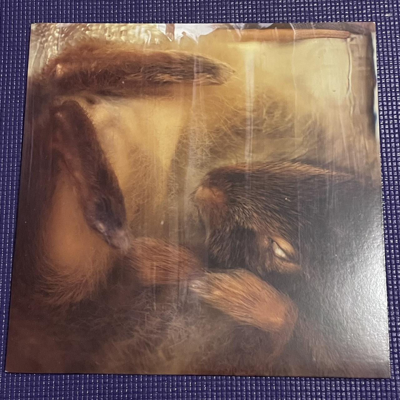 Creepoid ‘wet’ handpour beer puke vinyl lp,... - Depop