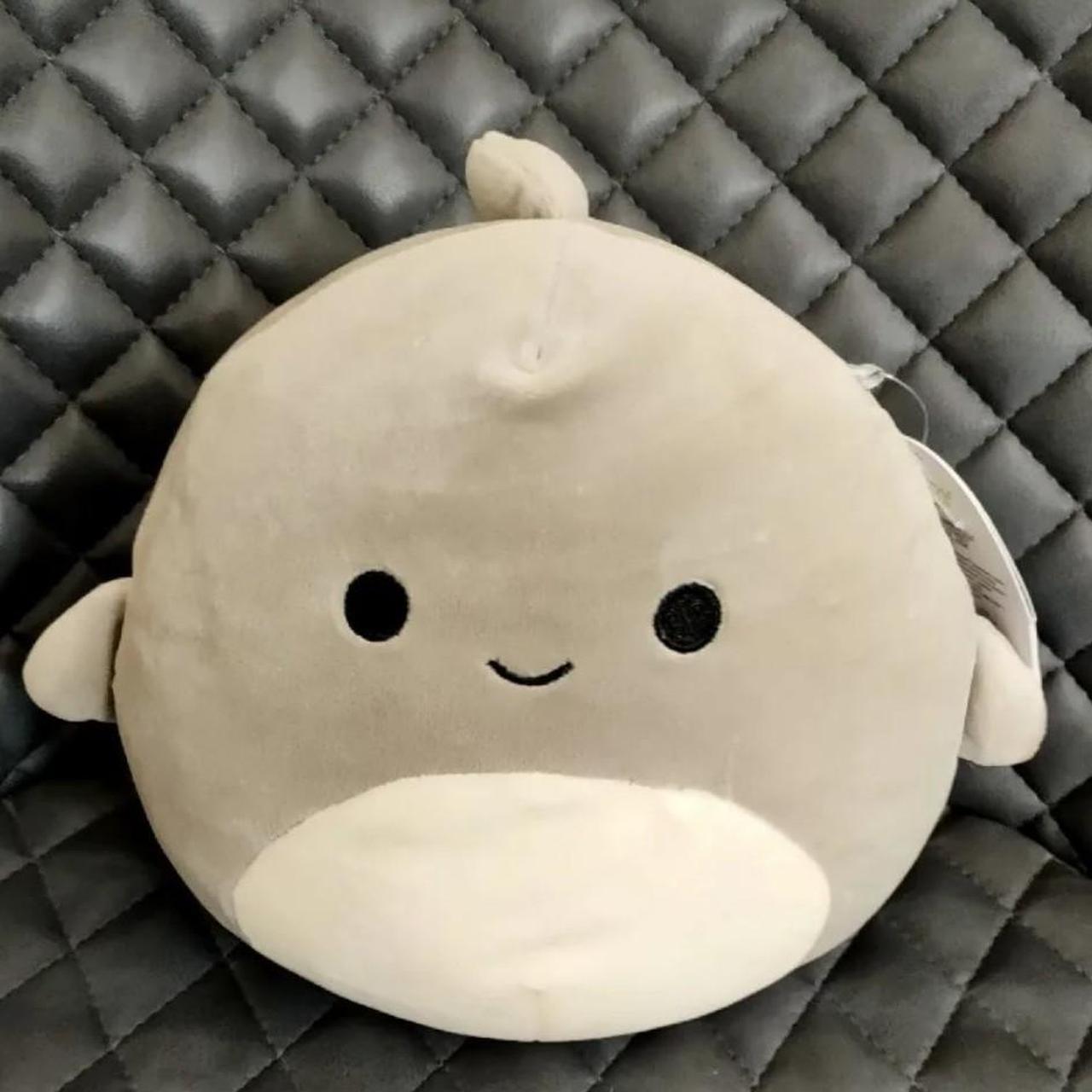 Gordon the shark squishmallow 7.5" bnwt - Depop