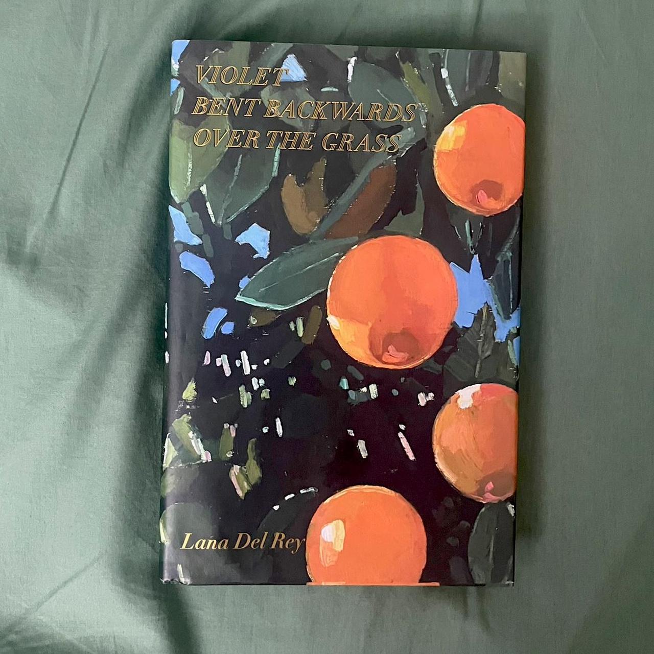 Lana Del Rey book of poems - excellent used condition. | Depop