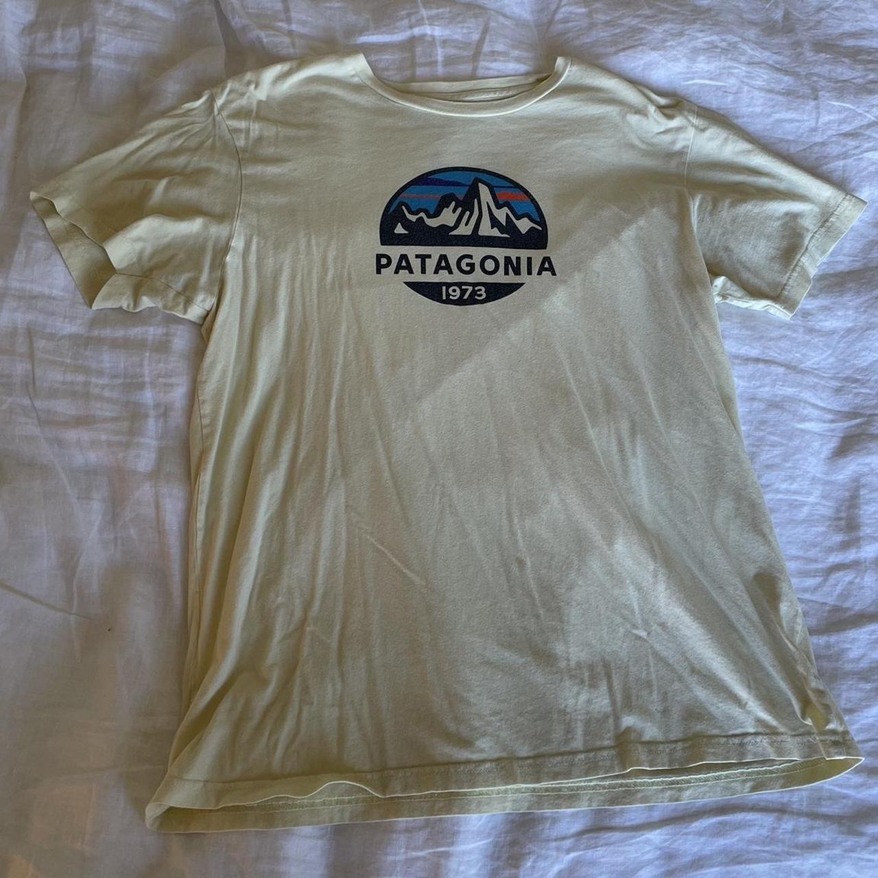 PATAGONIA GRAPHIC T SIZE L 19” pit to pit... - Depop