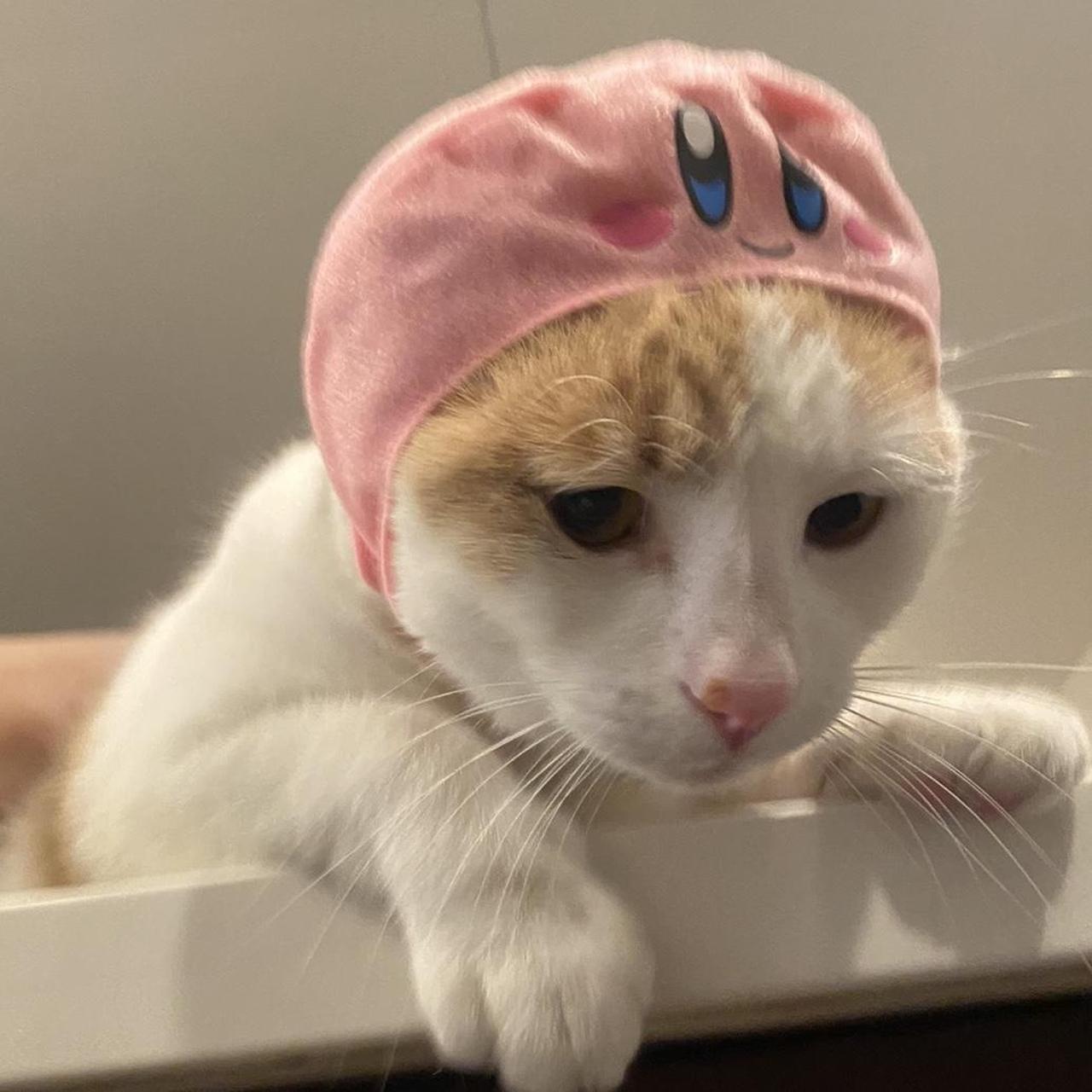 💗 Kirby Cat Hat 💗 super cute kawaii kirby cat hat,... - Depop