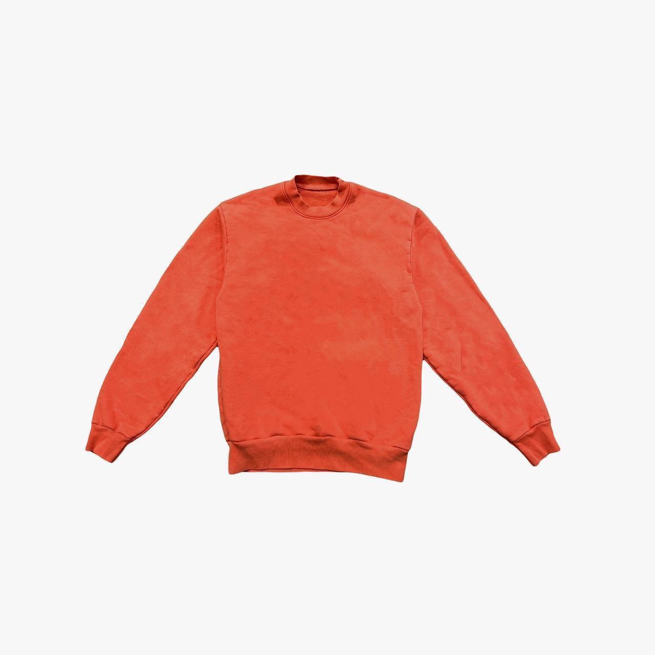 LAA6878 - SAMPLE LONGHORN SEMI PUFF FLEECE... - Depop