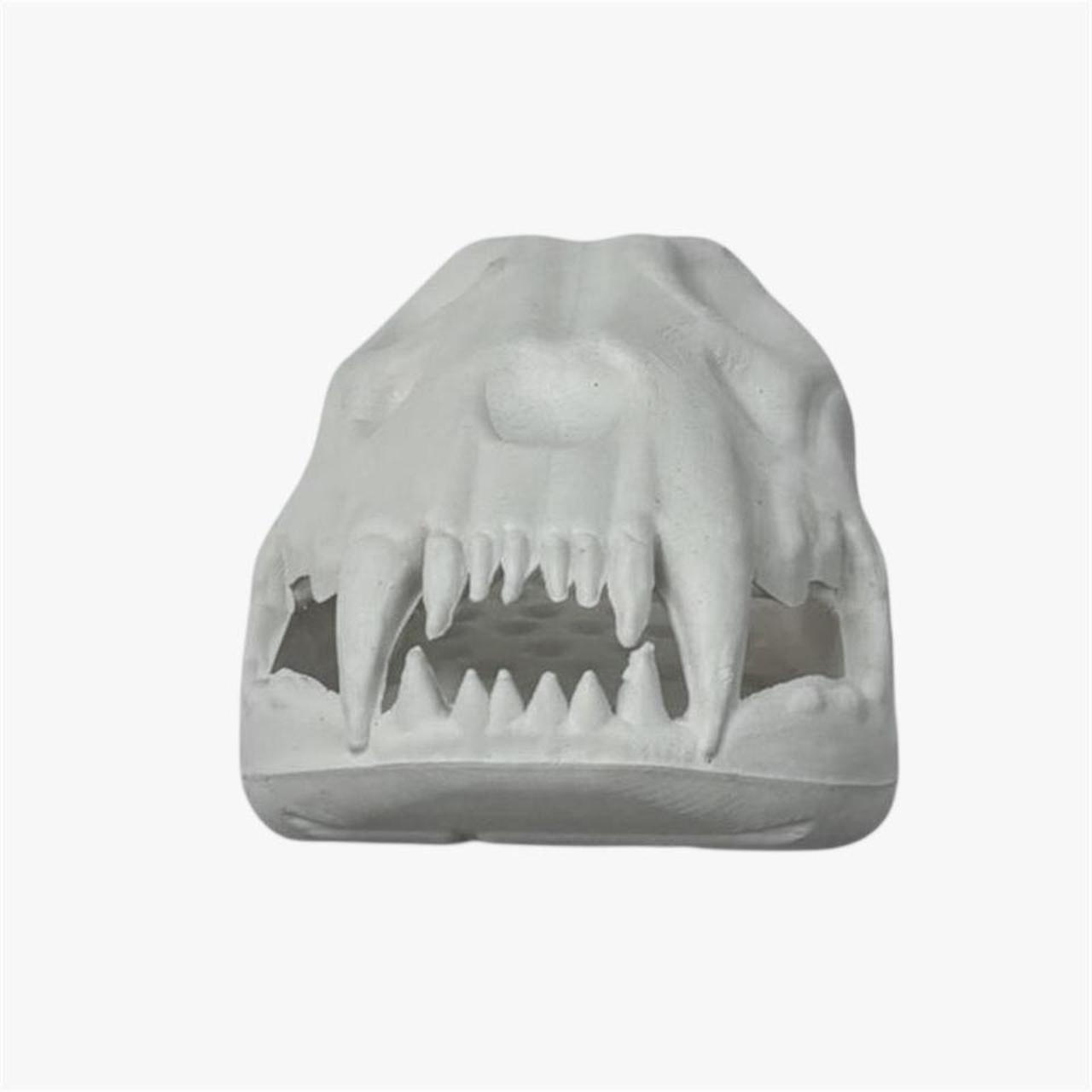 LAA247 - SABER TOOTH SLIDE SIZE: 8 MENS COLOR: PRE... | Depop