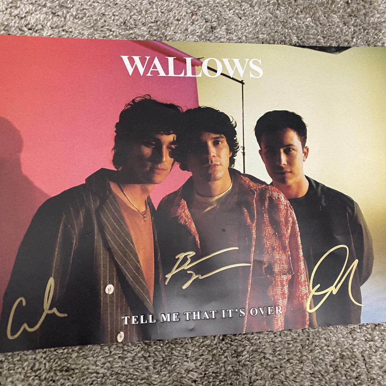 Wallows Tell Me That It’s Over poster Has some small... - Depop