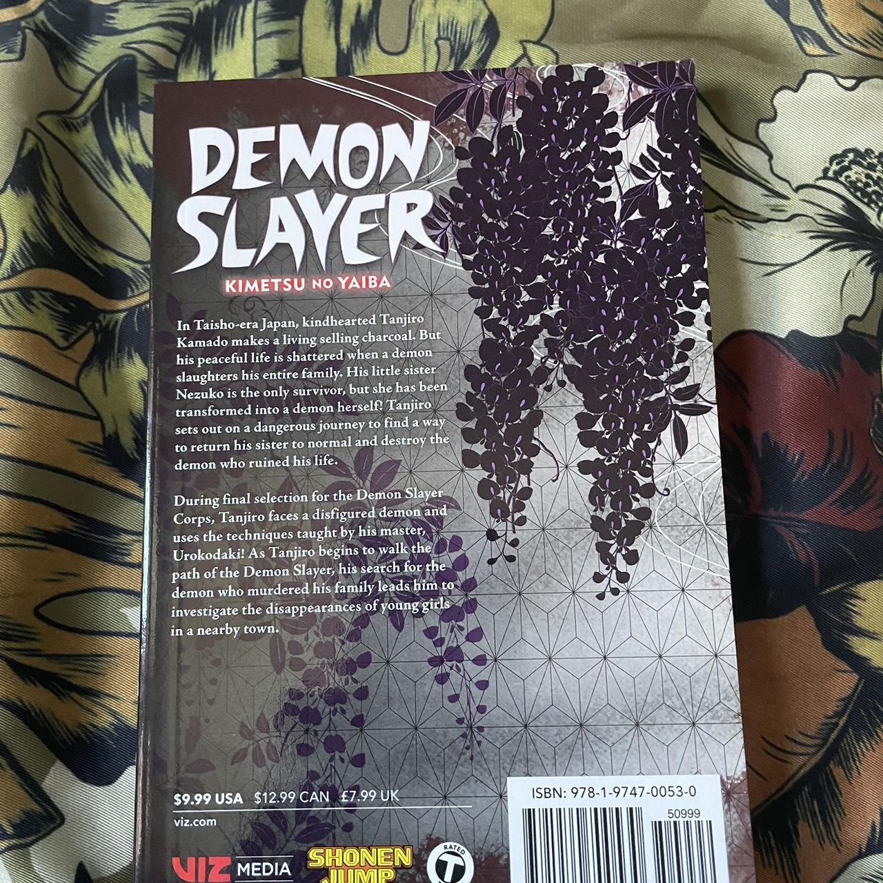 Demon Slayer Manga Volume 2 - Depop