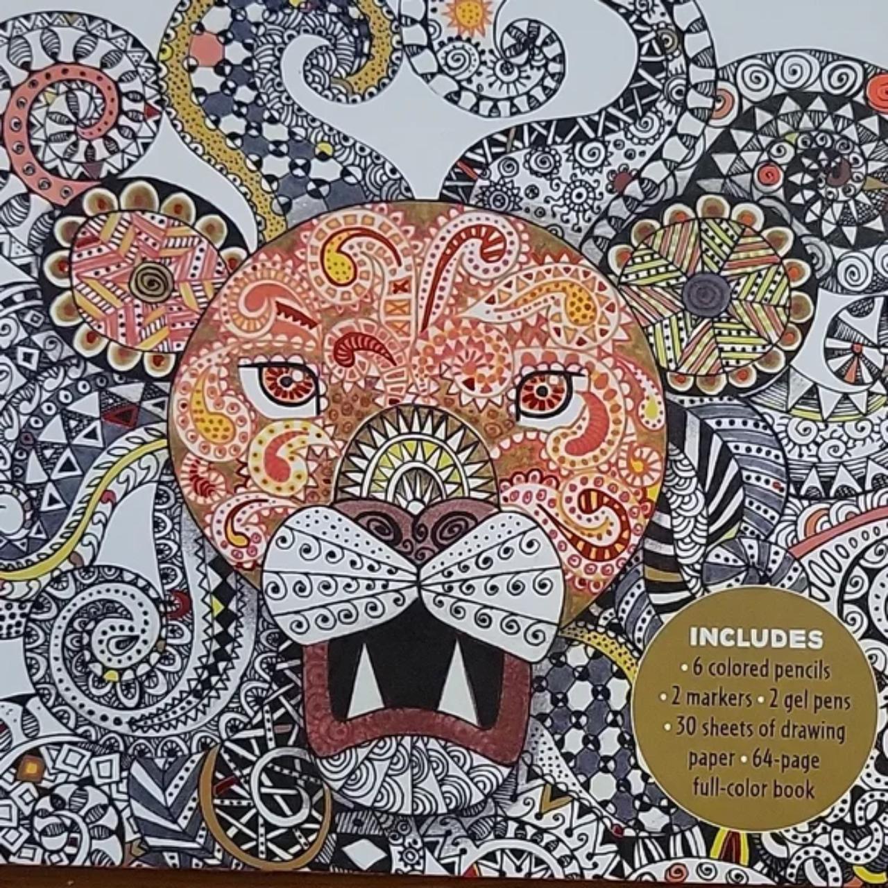 Draw & Color Patterns Book Kit. Sterling Innovation.... - Depop